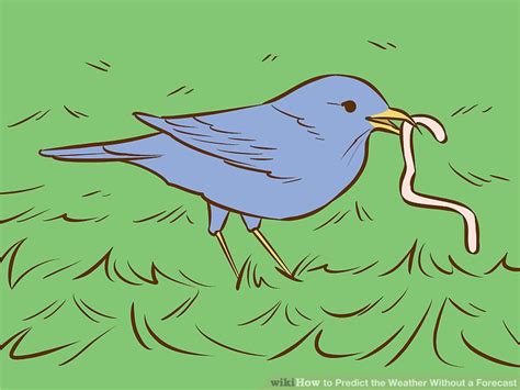 Ways To Predict The Weather Without A Forecast WikiHow