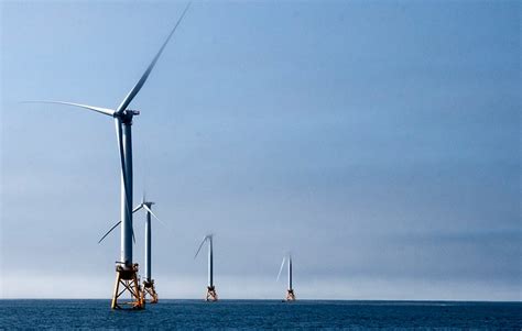 Help Ensure Offshore Wind Is Done In Compliance With Oregon Law Bird