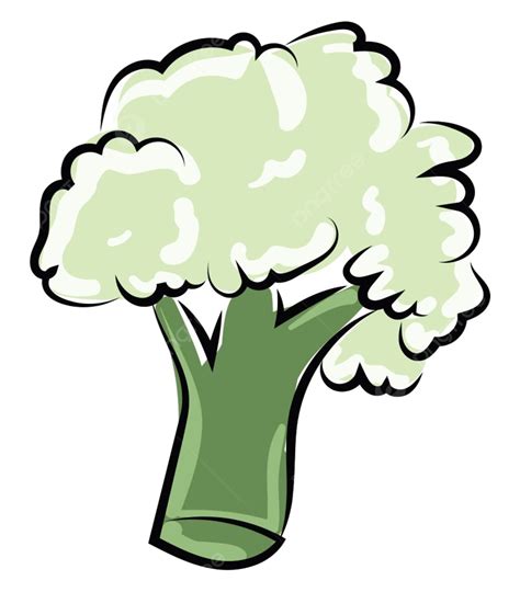 Broccoli Plant Drawing