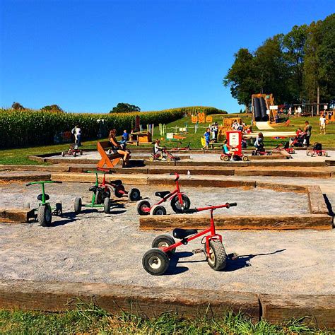 10 Reasons Why The Gaver Farm Fall Festival Really Packs In The Fun
