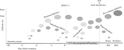 Figure 2 From Recent Advances On Synchronization Of Ovulation In Goats Out Of Season For A