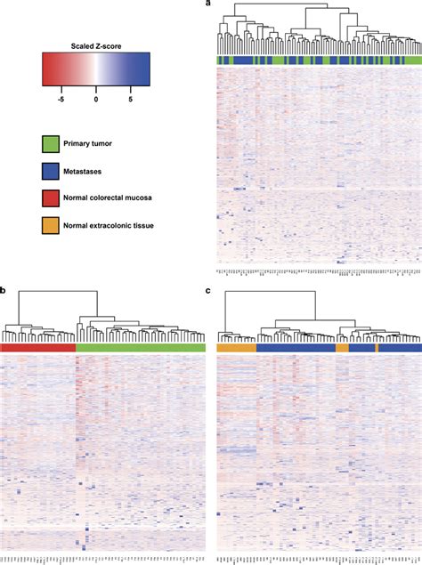 Unsupervised Clustering Of Log Transformed Normalized Mir Expression Download Scientific