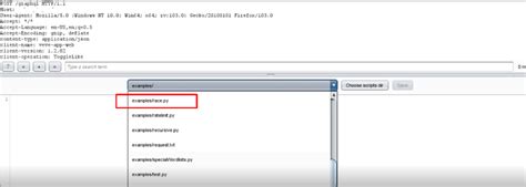Race Condition Esec Forte Technologies Esec Forte Technologies