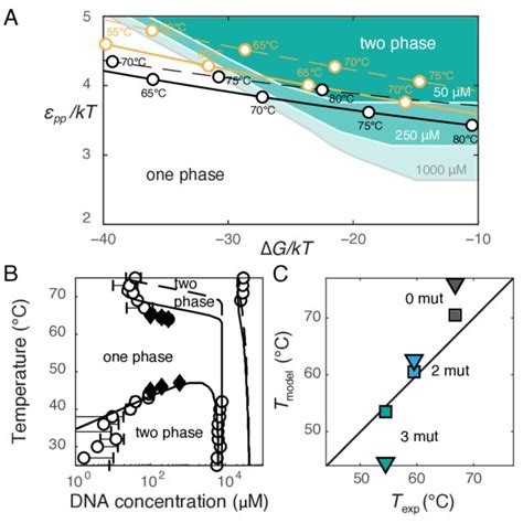 Fig S7 An Alternative Parameterization Of The Temperature Dependent Download Scientific