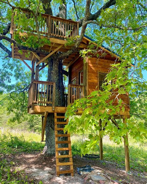Cool Tree Houses Designs