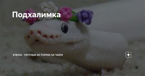 Подхалимка Елена Уютные истории за чаем Дзен