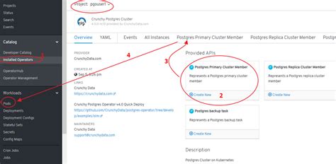 relational databases and database devops crunchydata postgres operator