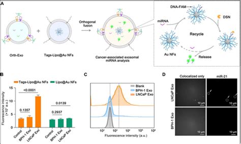 《science Advances》 外泌体mirna检测新技术 知乎