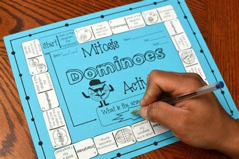Mitosis Dominoes Activity Artofit