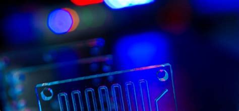 Microfluidic Device Enables Efficient Bacterial Capturing