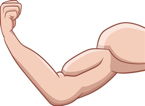 Muscle Arm Drawing Clipart 26749421 Png
