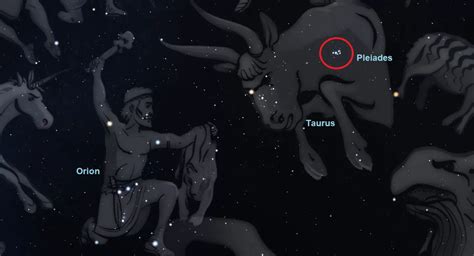The Pleiades Star Cluster Royal Observatory Greenwich Astronomy Guides
