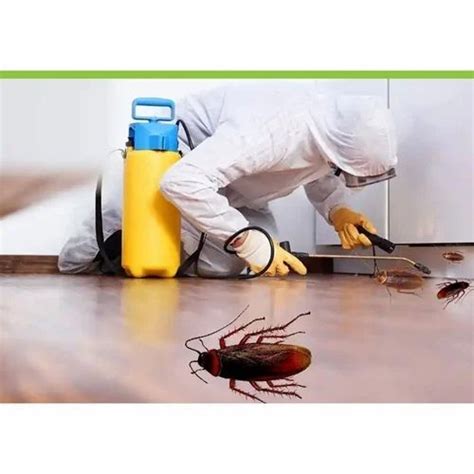 Cockroach Pest Control Service In Bengaluru Id 2855123784355