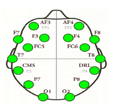 Eeg Recording Electrode Scalp Locations In Emotive Epoc System