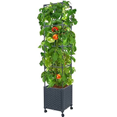 I Tested The Self Watering Tomato Planter And Heres Why Its A Game