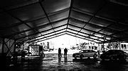 Categorywynwood Wikimedia Commons