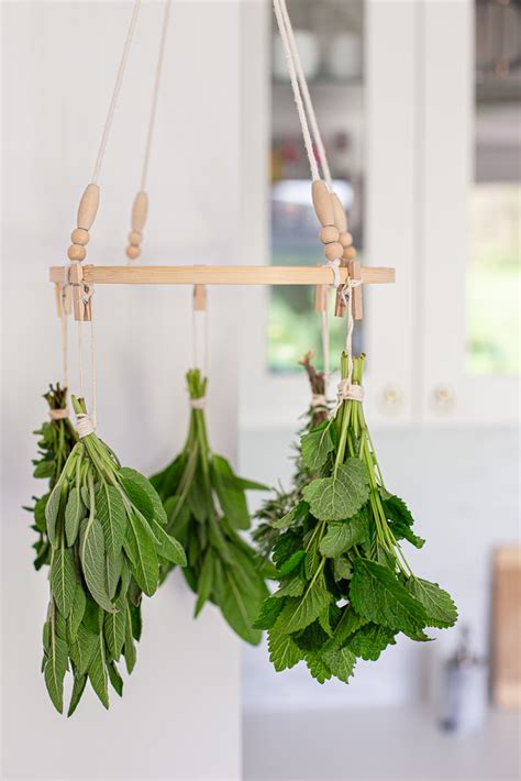 Diy Herb Drying Rack Home Baked Bliss