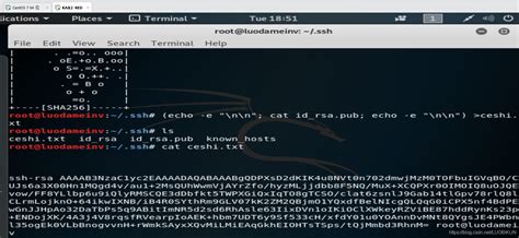 利用ssrf攻击redisssrf打redis Csdn博客