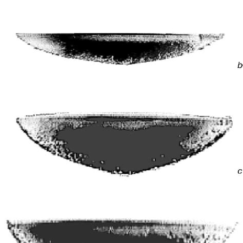 Spatial Flow Pattern In Buoyancy And Thermocapillary Driven Convection Download Scientific