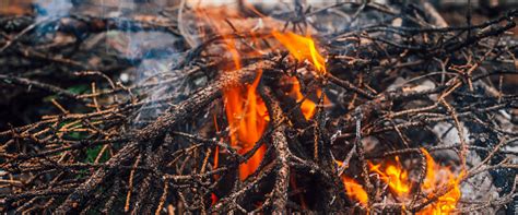 불을 붙이면 나뭇가지와 브러시우드를 굽습니다 캠프 파이어와 푸른 연기의 오렌지 불꽃과 분위기 따뜻한 배경 모닥불의 아름다운 풀 프레임 이미지 장작이 생생한 불길에 타버린다