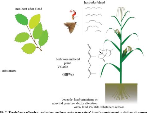 Figure 2 From Relationships Between Insects And Their Host Plants Co Evolution Review Semantic