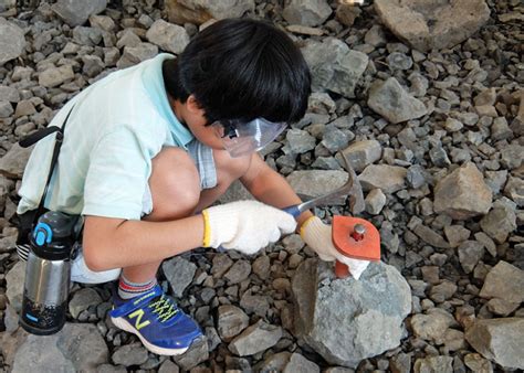 化石発掘体験のできる施設 恐竜百科