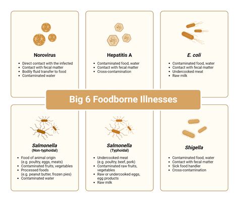 Big 6 Foodborne Illnesses Biorender Science Templates