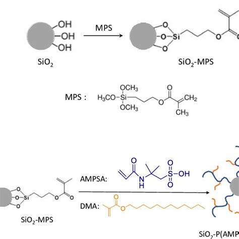 a functionalization of sio2 nps surface by mps b polymerization of download scientific