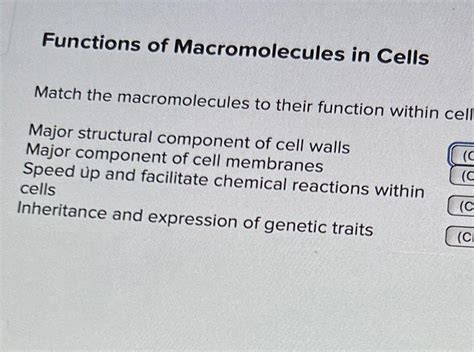 Solved Functions Of Macromolecules In Cellsmatch The