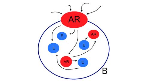 domain driven design aggregate powenmac