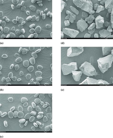 Scanning Electron Micrographs 2000x Of Native Das A Ndas And Pdas