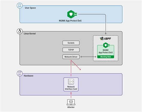 Accelerating DDoS Mitigation With EBPF In F5 NGINX App Protect DoS