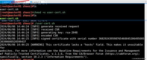 【kubernetes】k8s集群安全机制 保姆级攻略 Csdn博客