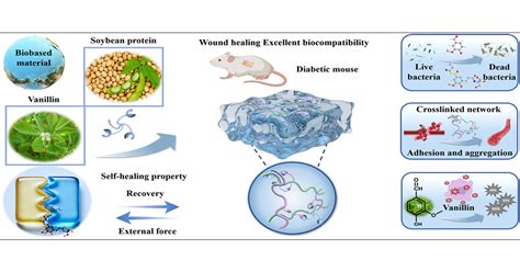 Biobased Physicochemical Reversible Dual Cross Linked Hydrogel Self