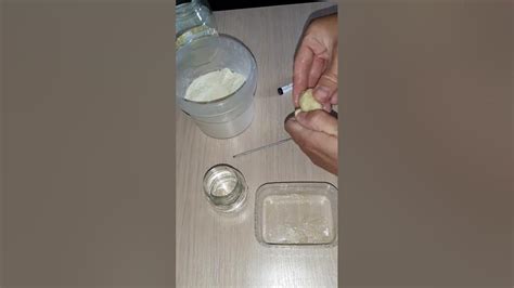 Клейковина для рыбалки в шприце. - YouTube