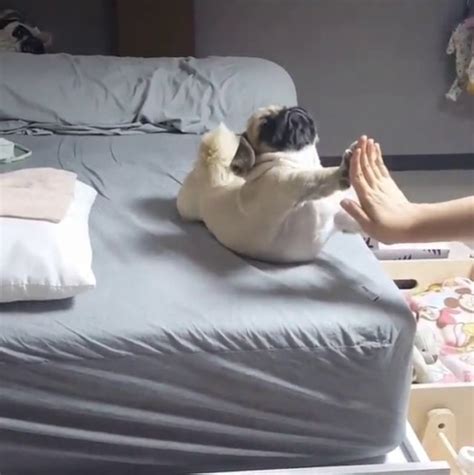 Post 178031656644 Cute Animal S For Megan Tumbex