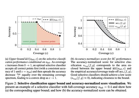 Navigating The Challenges Of Selective Classification Under Differential Privacy An Empirical