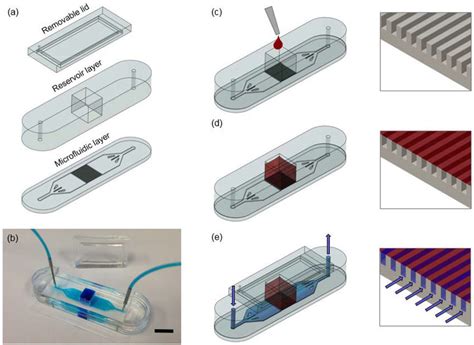 Microfluidic Tissue Culture Platform A Devices Are Constructed From