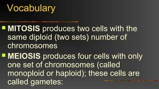 St Science Cellular Reproduction Of Sex Cells PPT