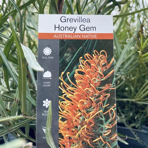 Hillview Garden Centre Added A Hillview Garden Centre
