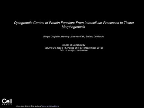 Giorgia Guglielmi Henning Johannes Falk Stefano De Renzis Ppt Download