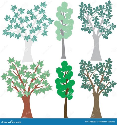 Vector Graphic Set Deciduous Trees Clip Art Stock Vector Illustration Of Group Design 97822062