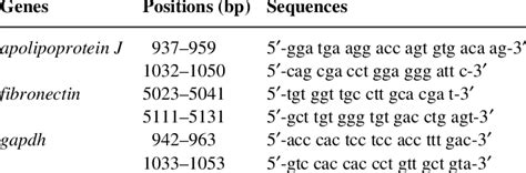 Real Time Reverse Transcription Polymerase Chain Reaction Primers