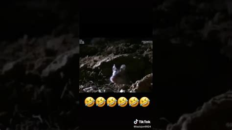 Тт - YouTube