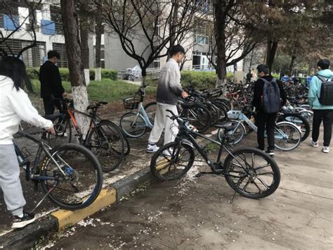 共享单车齐摆放 文明校园我助力 学雷锋志愿服务活动 西北工业大学 马克思主义学院