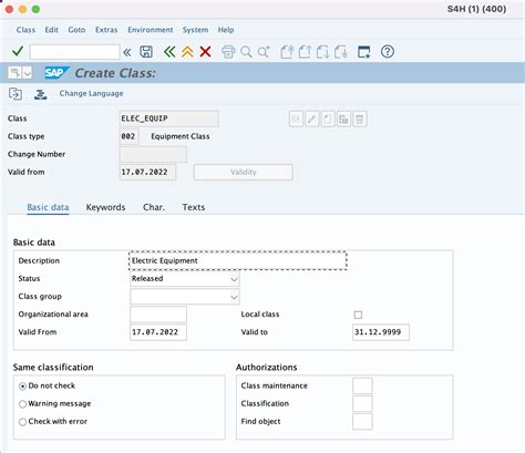 SAP Classification System SAP Training And Coaching
