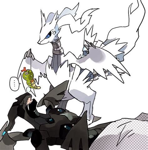 Reshiram Zekrom And Caterpie Pokemon Drawn By Yarakamimeiosei