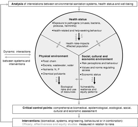 Conceptual Framework Of The Combination Of Health And An Environmental