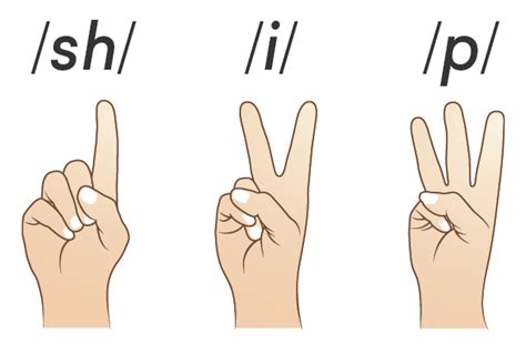 Segmenting Practice For Teachers Firefly Education