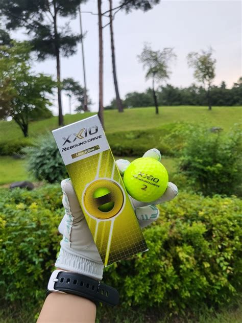 세라지오cc 후기 난이도는 평범 날씨 좋은날 또가고싶은 여주 골프장 네이버 블로그